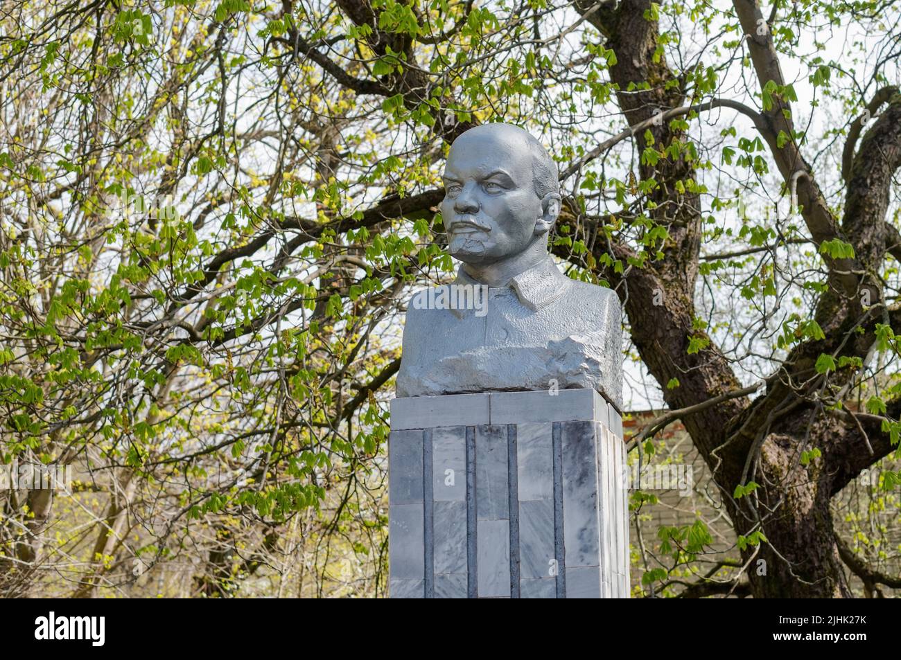 Kaliningrad Region, Russia, April 24, 2022. Bust of Vladimir Lenin ...