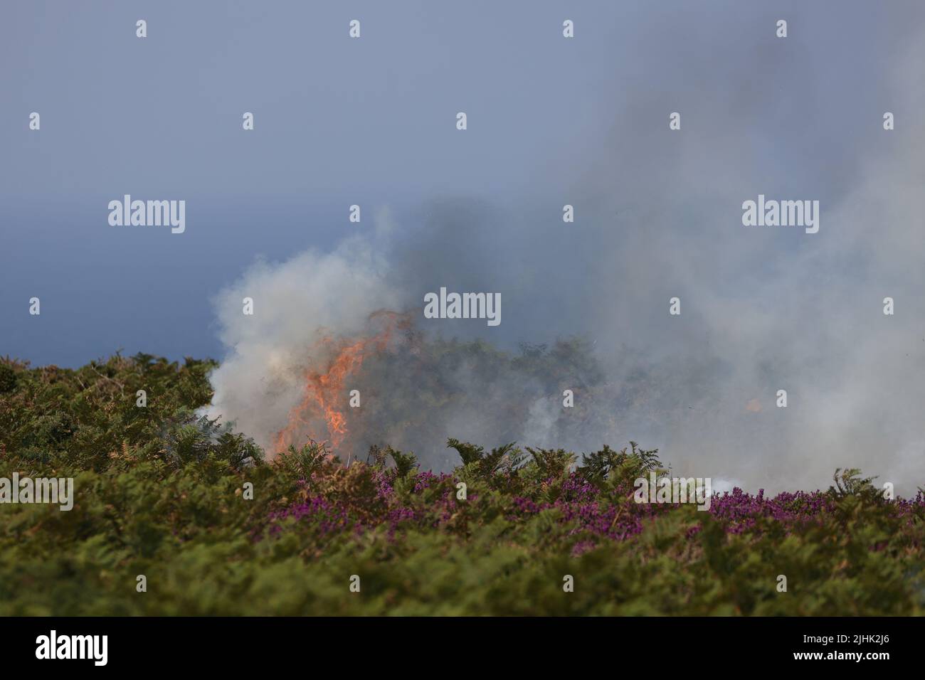 Gorse fire cornwall hi-res stock photography and images - Alamy