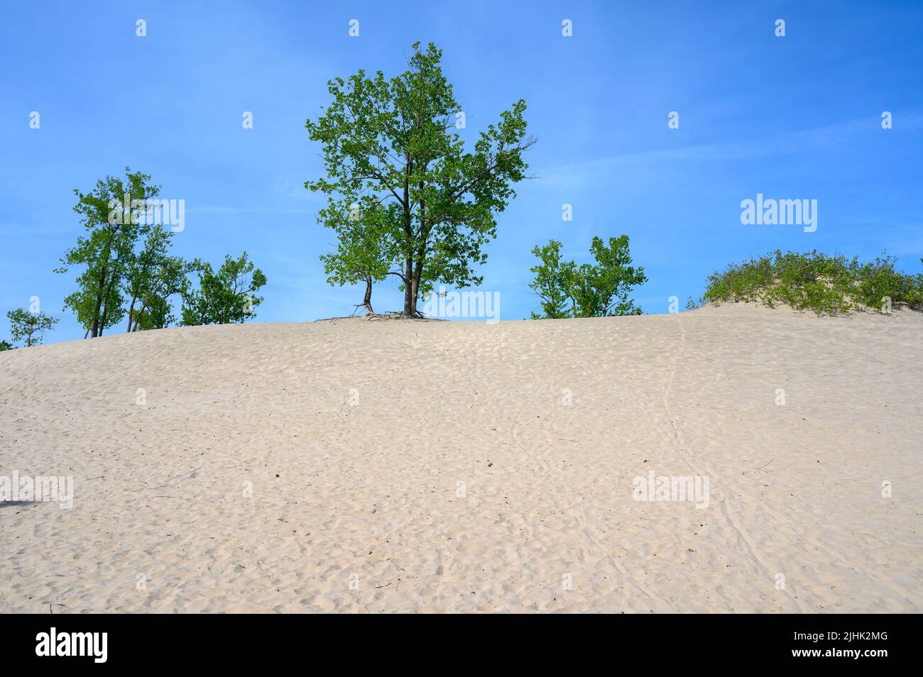 Sand dunes canada hi-res stock photography and images - Alamy