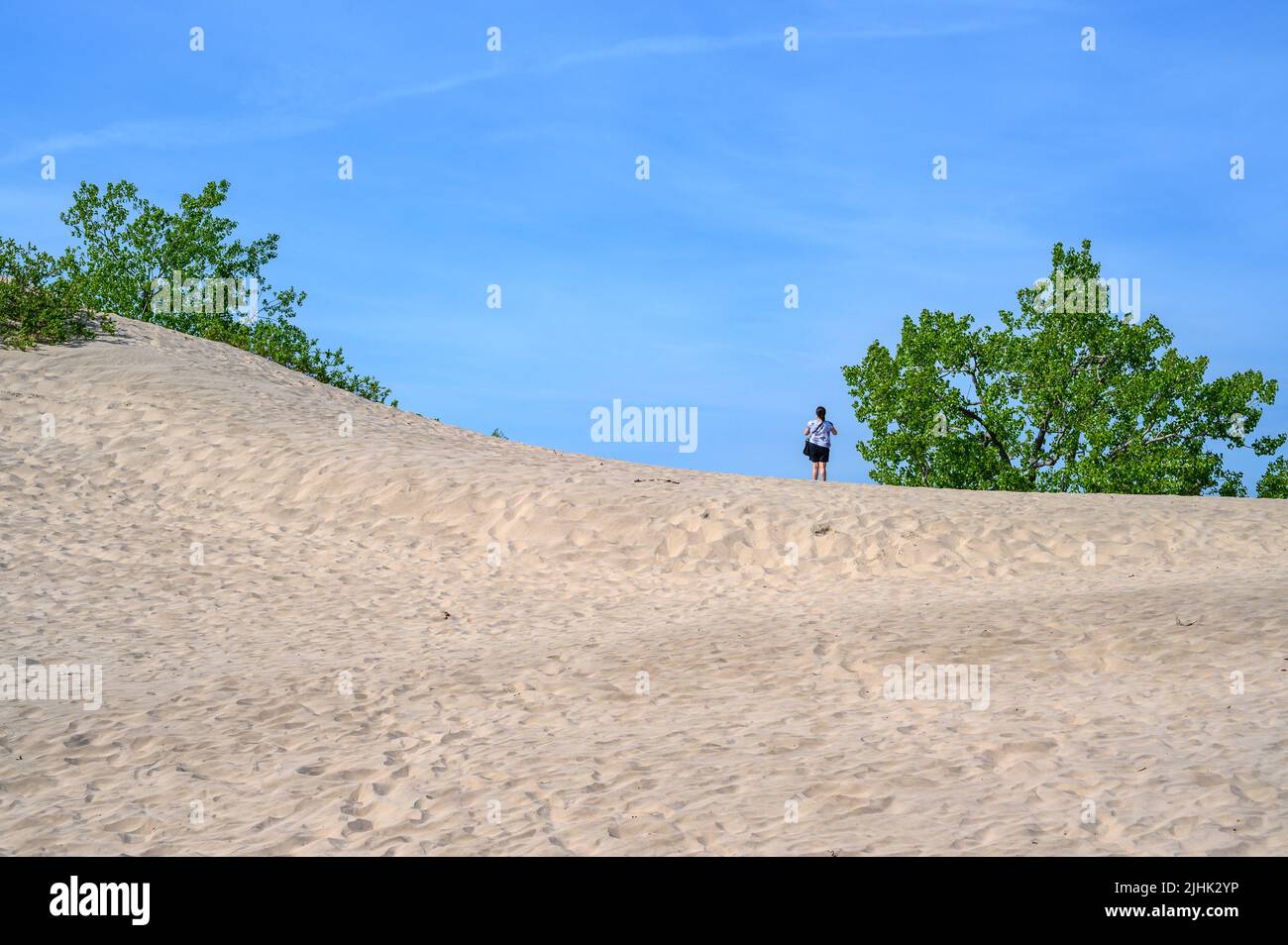 Middle-aged woman of Indian heritage stands on the ridge of a sand dune ...