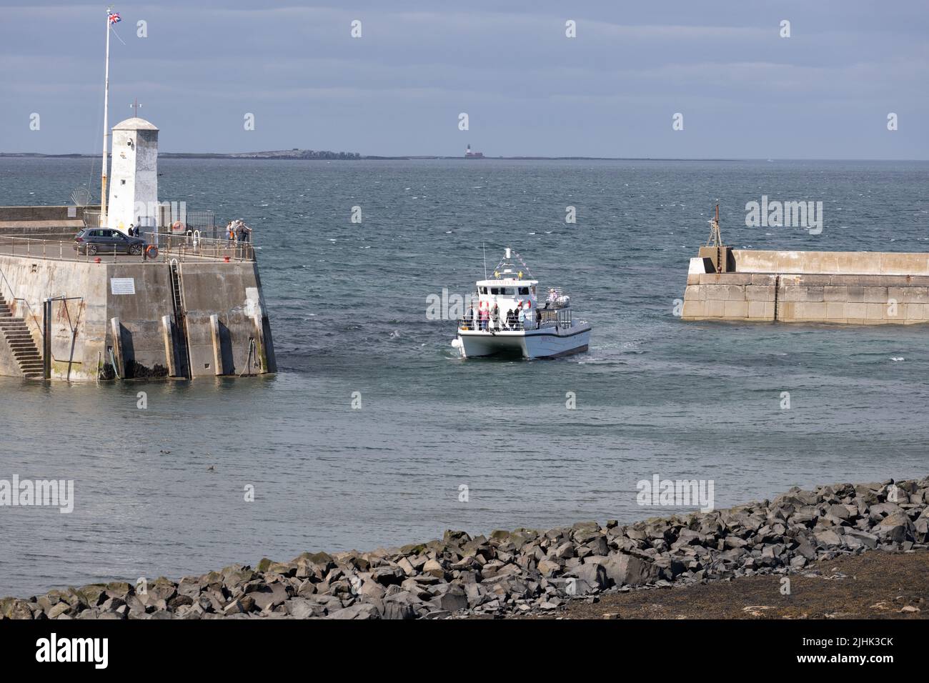 Serenity 3 Farne Islands Pleasure Boat Trips returns to the harbour in ...