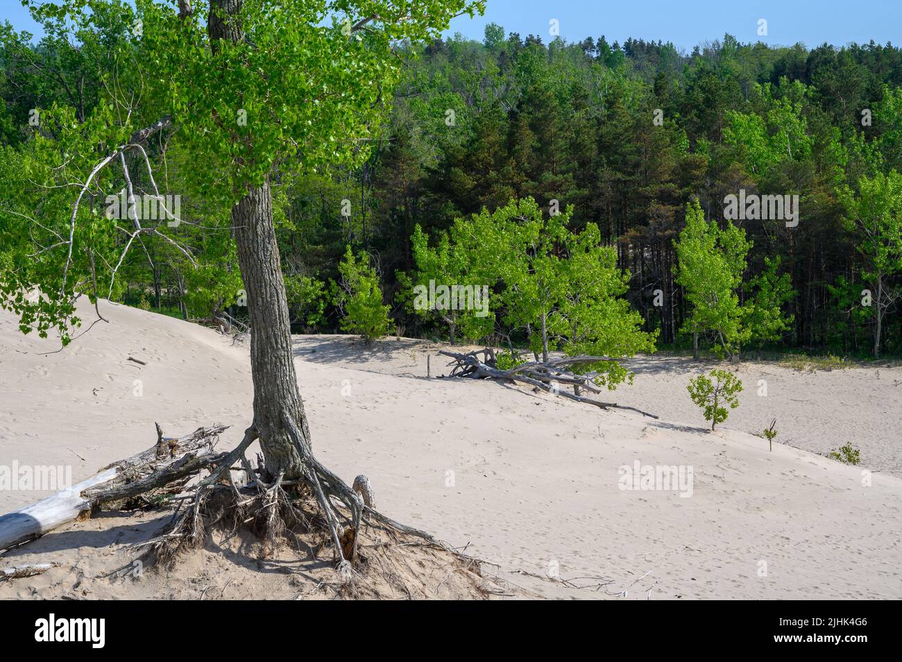 Sandbanks provincial park dunes beach hi-res stock photography and ...