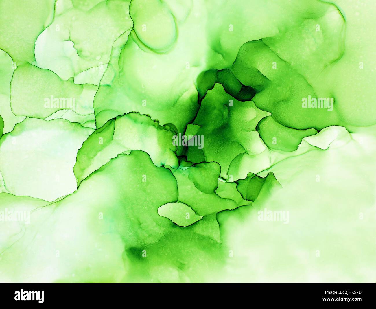 Abstract green watercolor Alcohol Ink Flow Paint. Modern hand painted ...