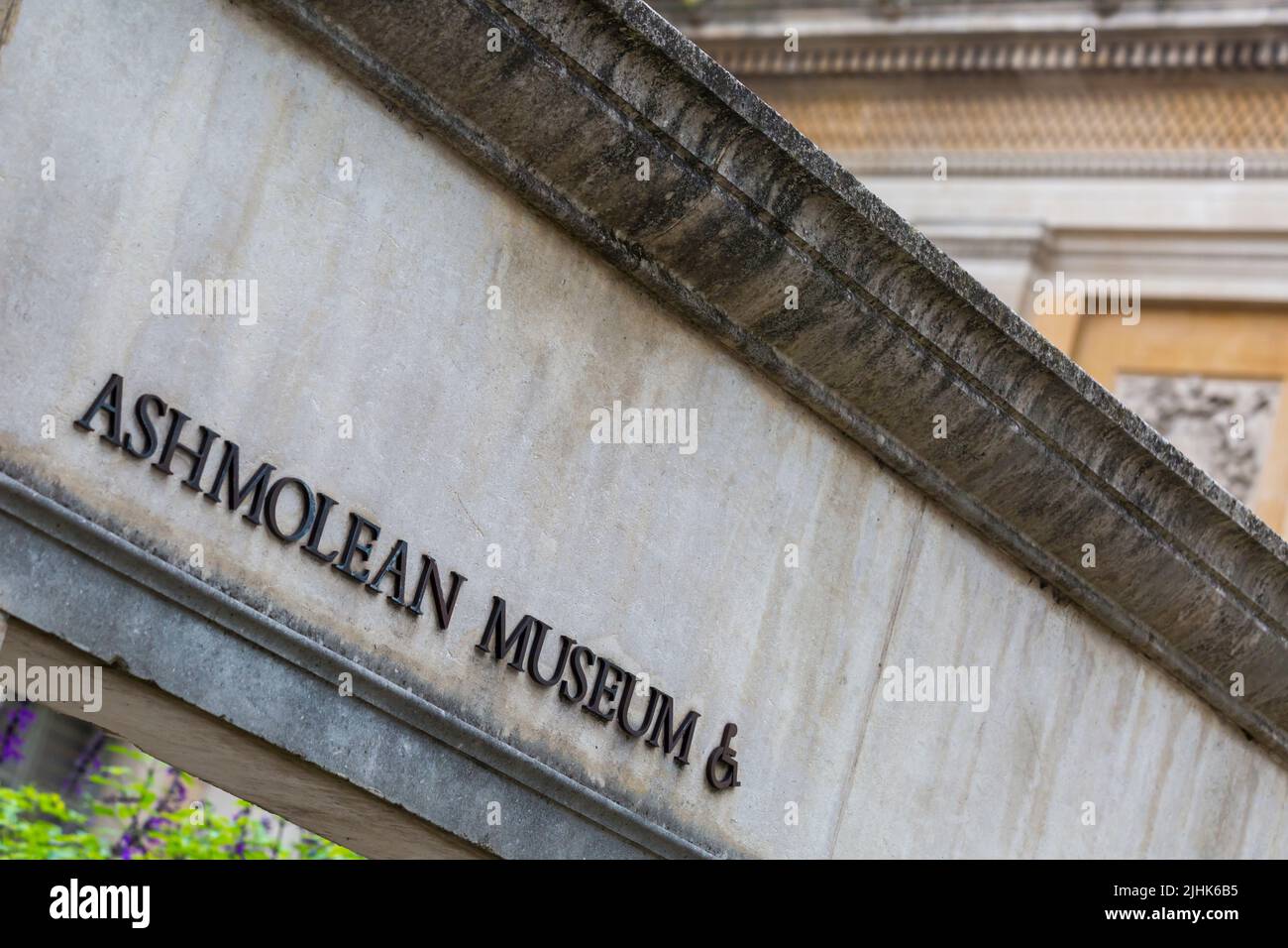 Ashmolean Museum at Oxford, Oxfordshire UK on a wet rainy day in August Stock Photo - Alamy