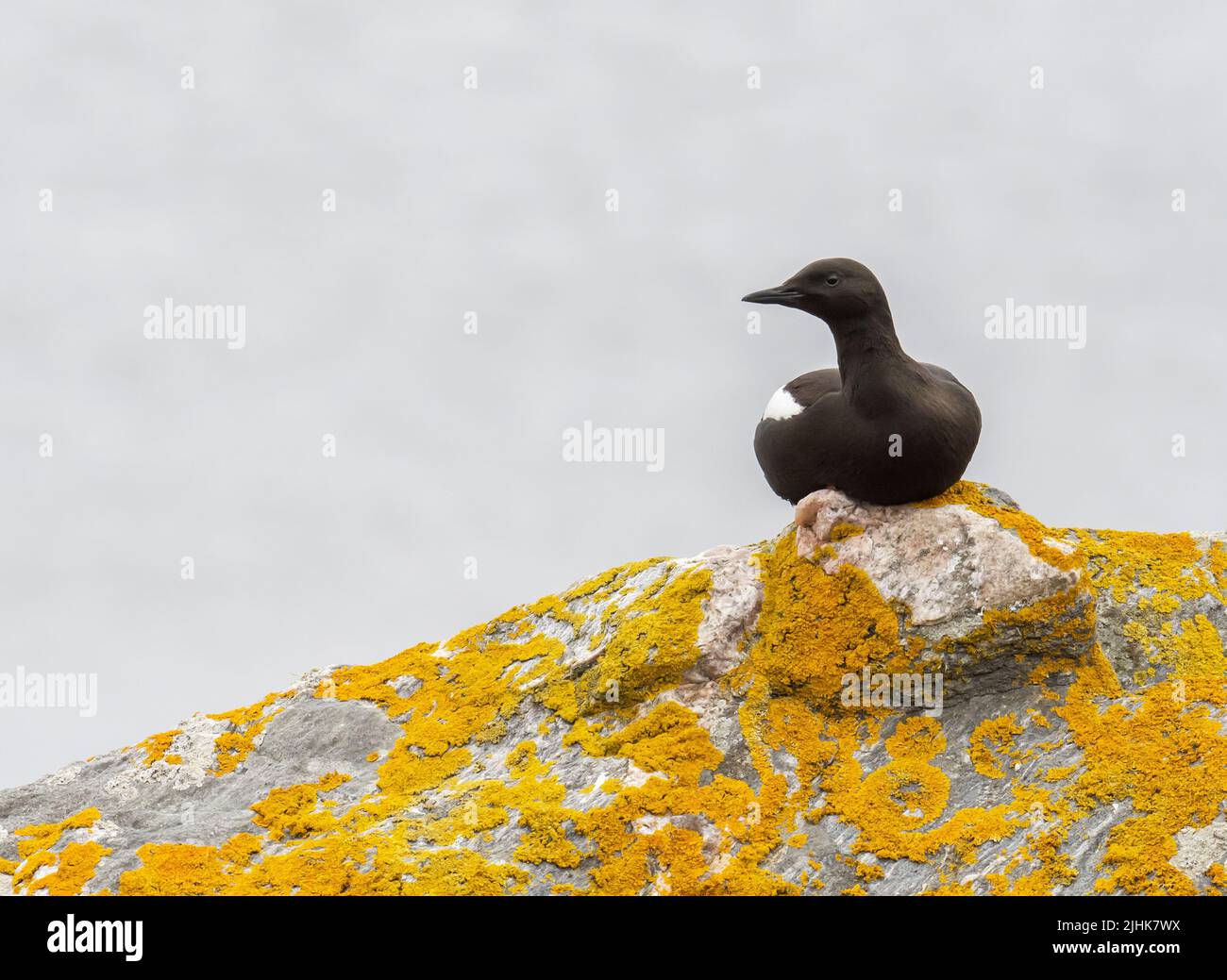 Burravoe shetland hi-res stock photography and images - Alamy