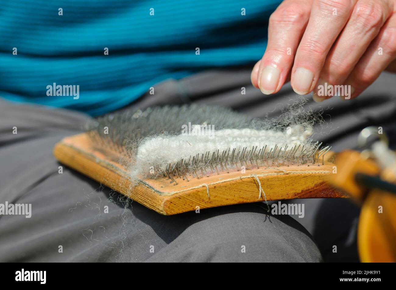 A woman uses traditional handcard combs to prepare sheep wool for ...
