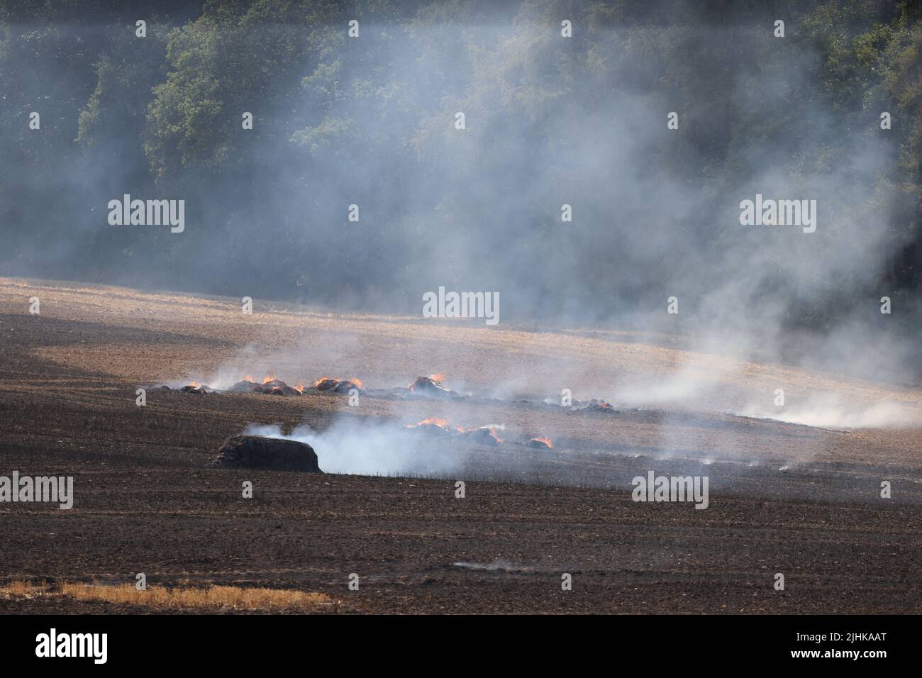Wernburg, Germany. 19th July, 2022. Firefighters fight the fire of ...