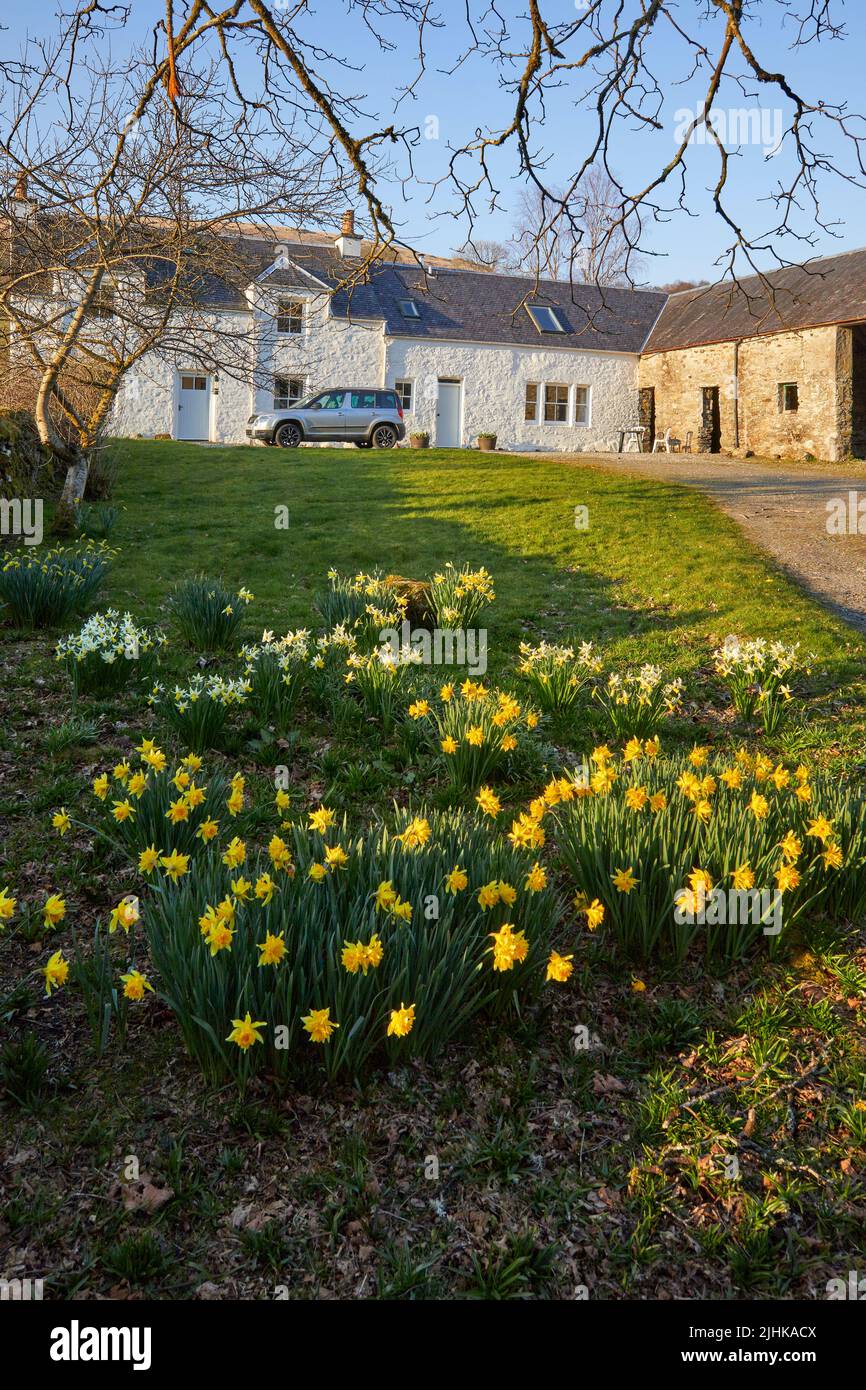 Early evening and the sun picks out detail on the white painted ...