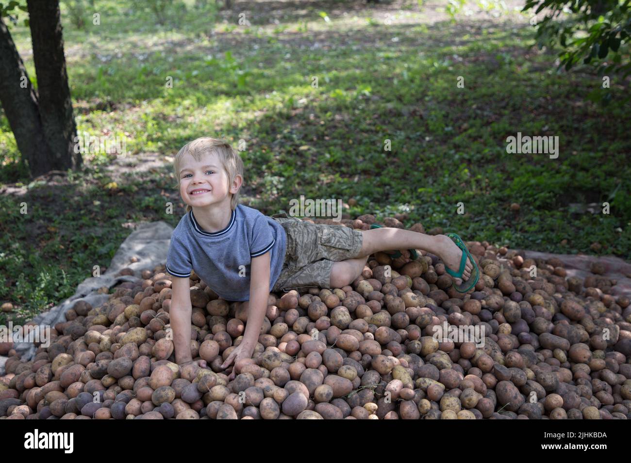 Big potato games hi-res stock photography and images - Alamy