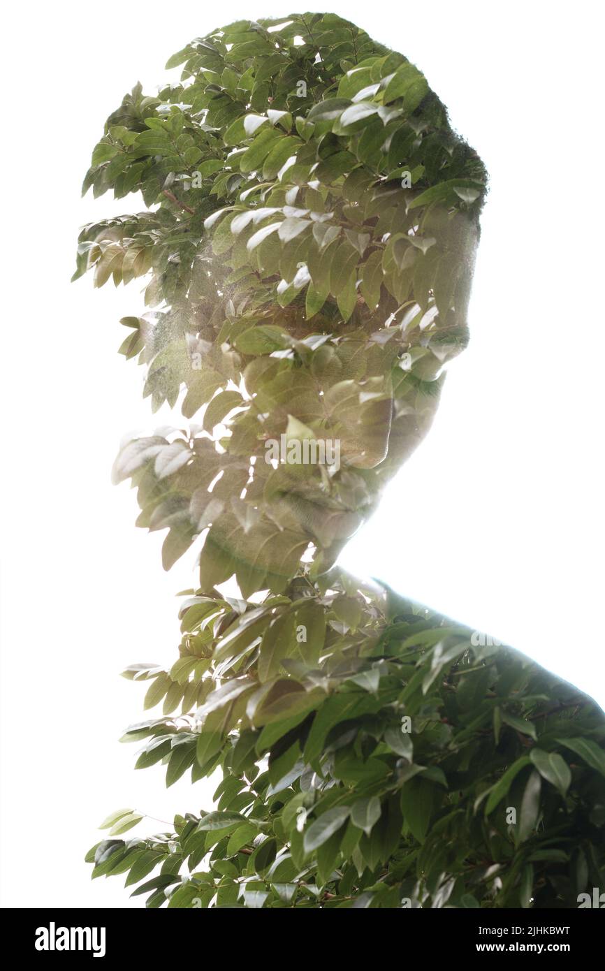 An image of a tree merged with a silhouette of a young man Stock Photo ...