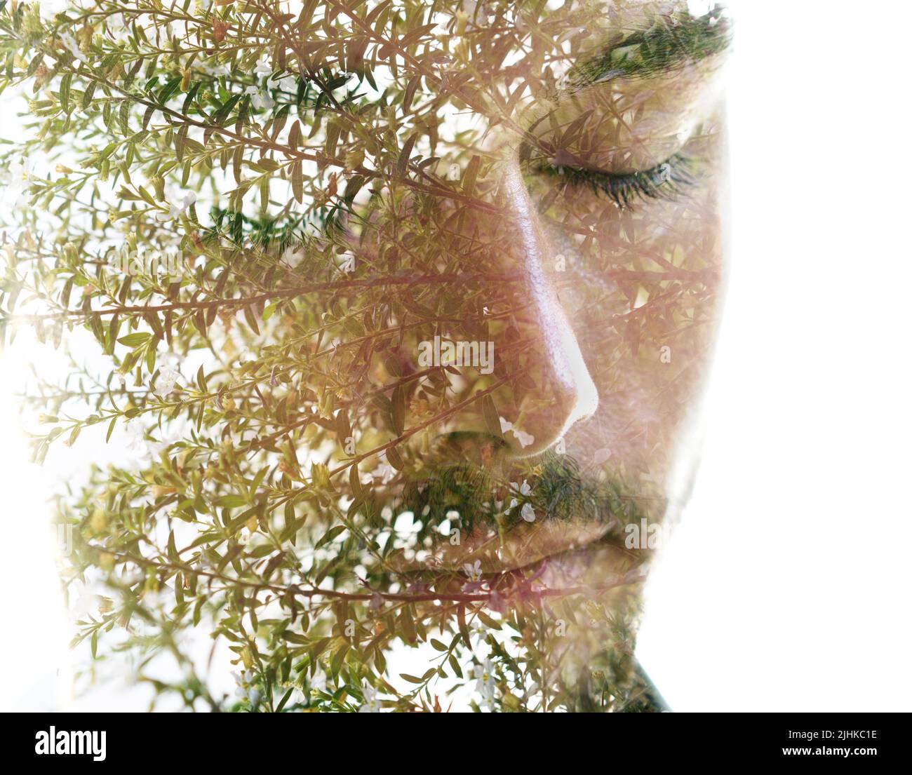 Double exposure man tree hi-res stock photography and images - Alamy
