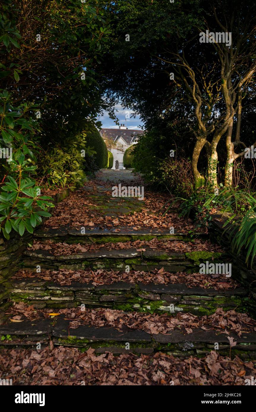 Stone walkway in Ardara, Ireland Stock Photo - Alamy
