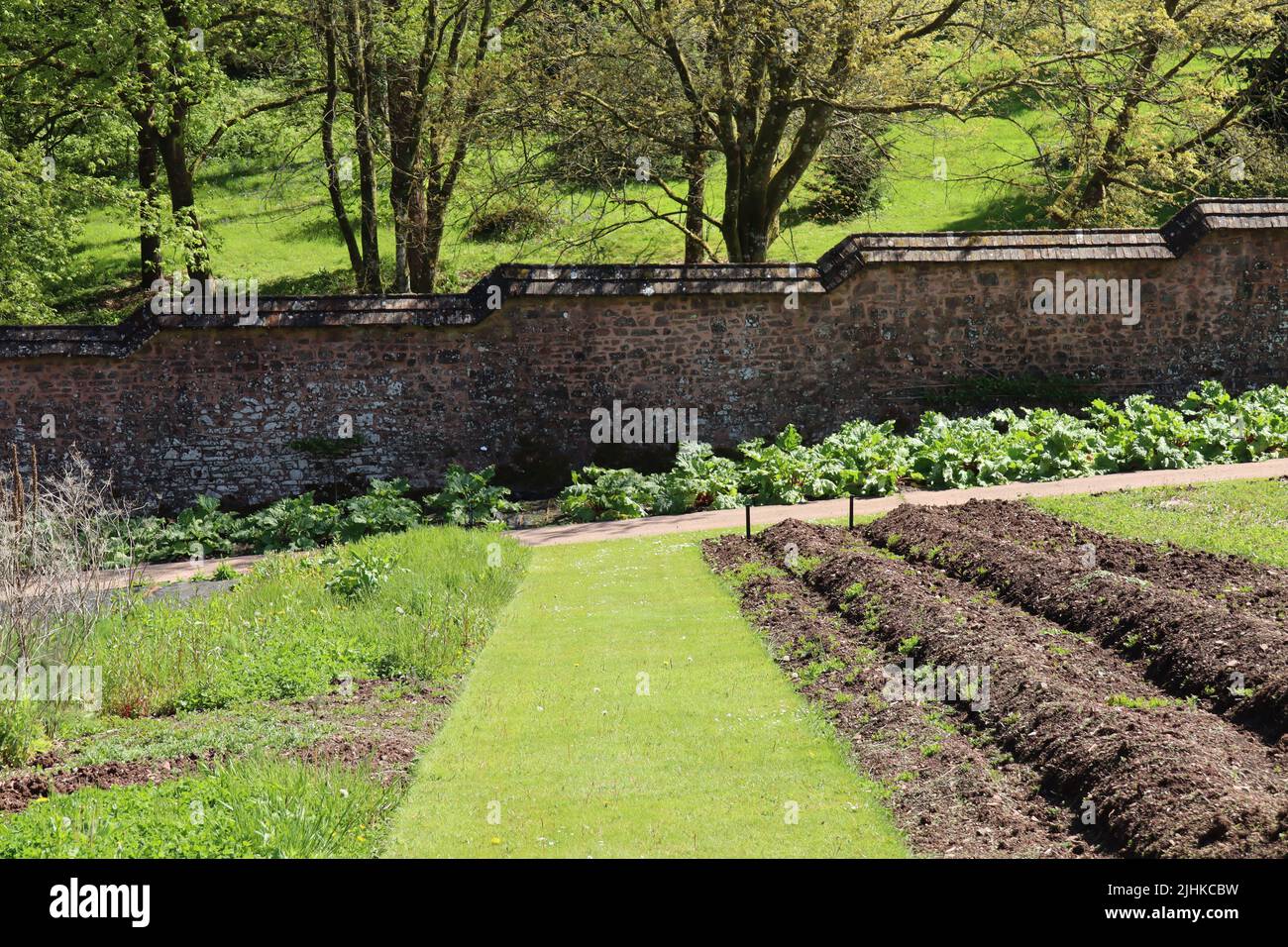 A grass pathway in between crop growing areas, leads towards the ...