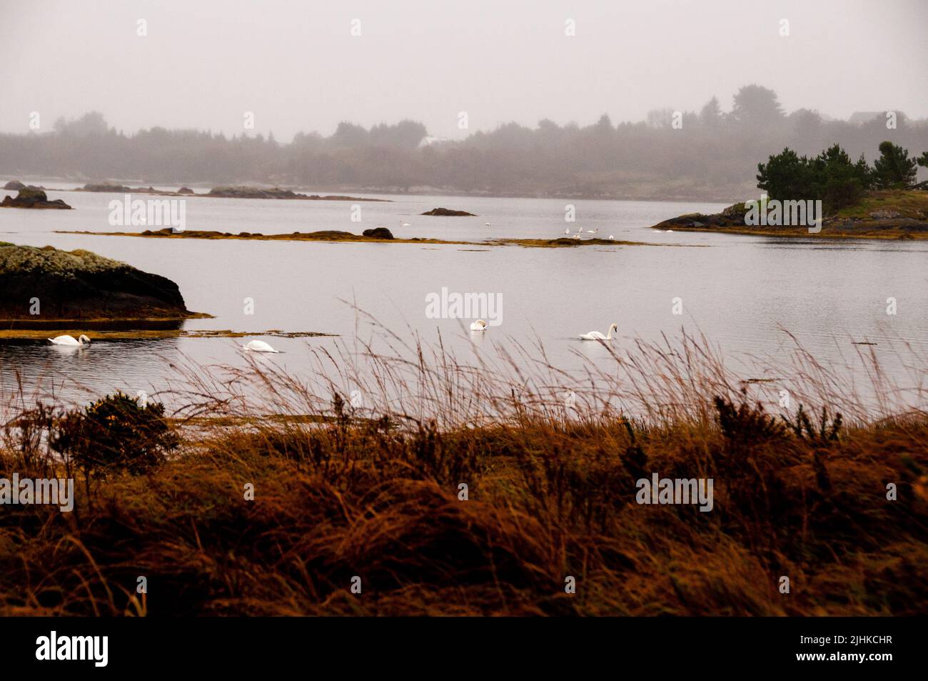 Wetlands in ireland hi-res stock photography and images - Alamy