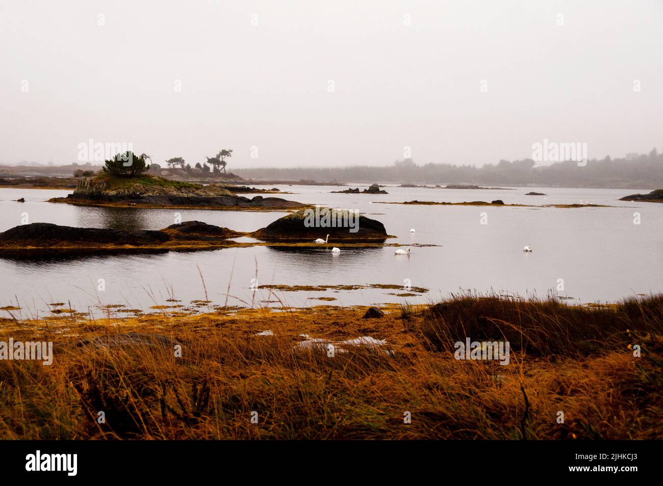 Wetlands in ireland hi-res stock photography and images - Alamy