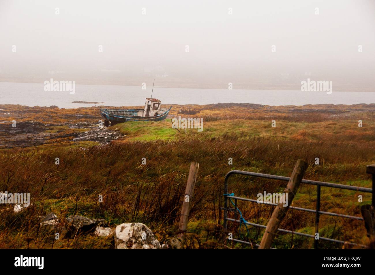 Wetlands in ireland hi-res stock photography and images - Alamy