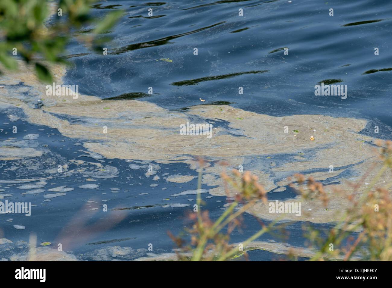 Slough Berkshire Uk 19th July 2022 Pollution On The Jubilee River
