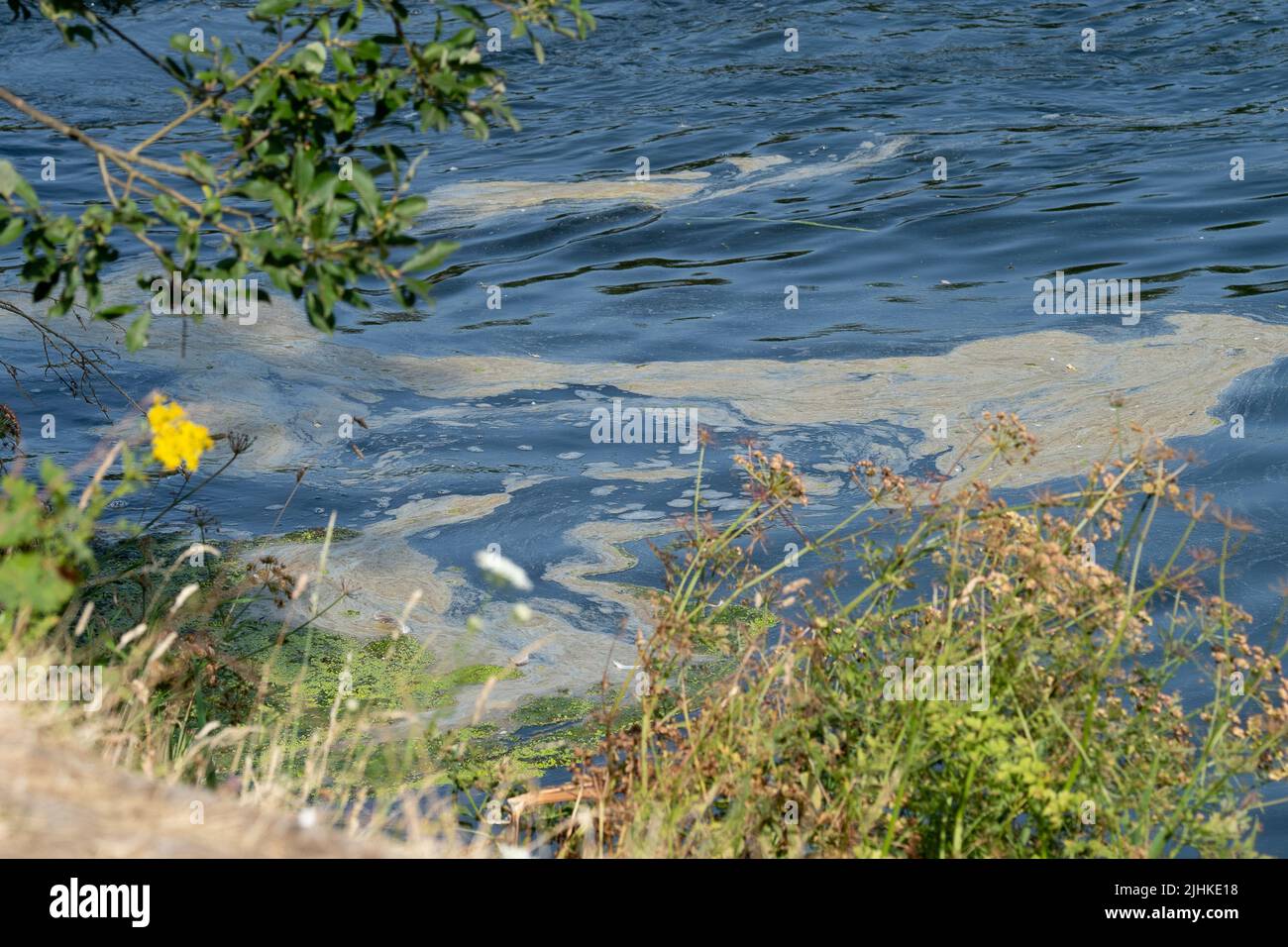 Slough Berkshire Uk 19th July 2022 Pollution On The Jubilee River