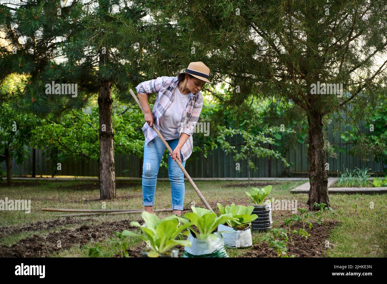 Portrait of an inspired woman farmer horticulturist digging soil while ...