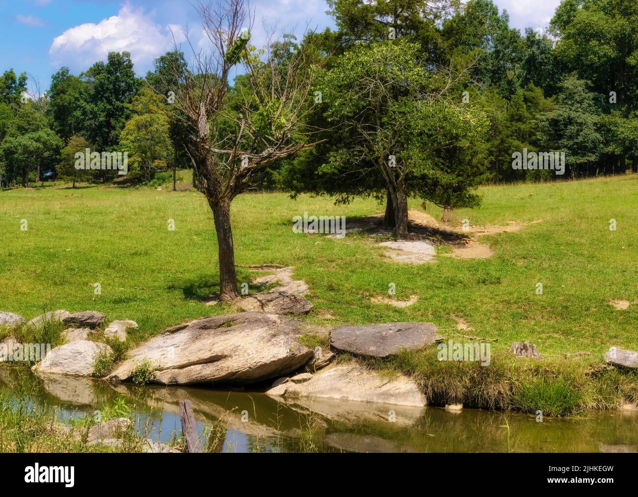 Landscape of a rural field with a small pond in rural Tennessee Stock ...