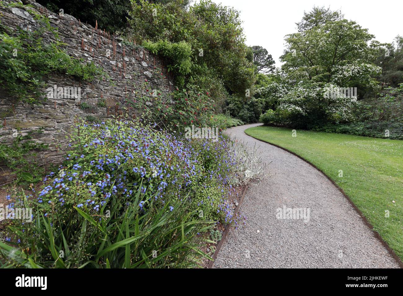 Path with plants hi-res stock photography and images - Alamy