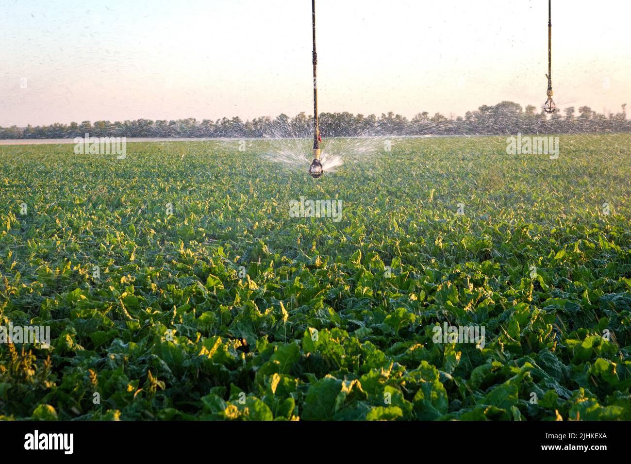 Large mechanized system for watering plants in fields Stock Photo - Alamy