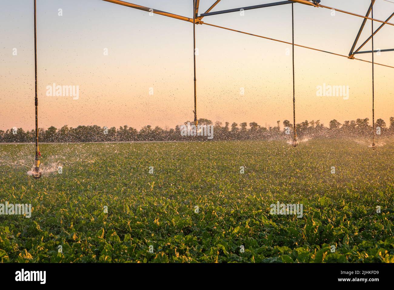 Mechanized system hi-res stock photography and images - Alamy