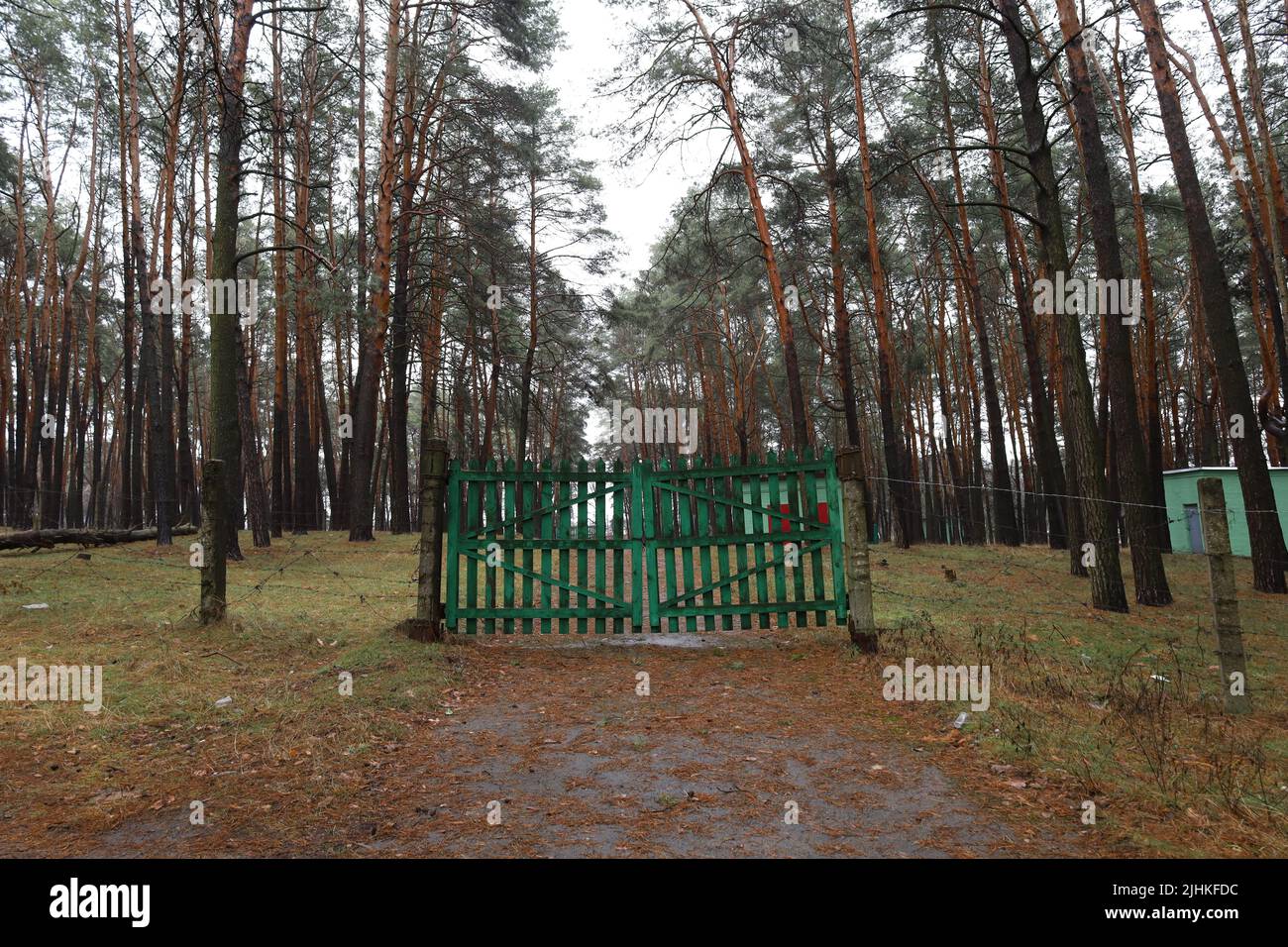 Forest gate cemetery hi-res stock photography and images - Alamy