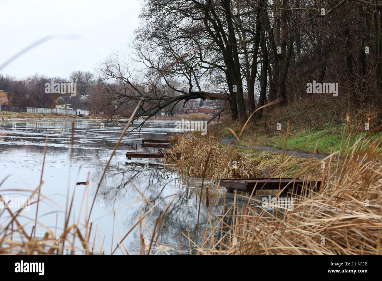 Fishing place on the lake, rainy park atmosphere Stock Photo - Alamy