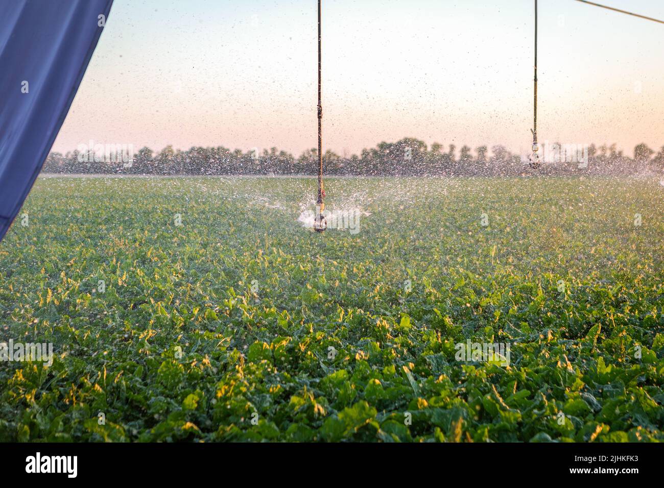 Mechanized system hi-res stock photography and images - Alamy