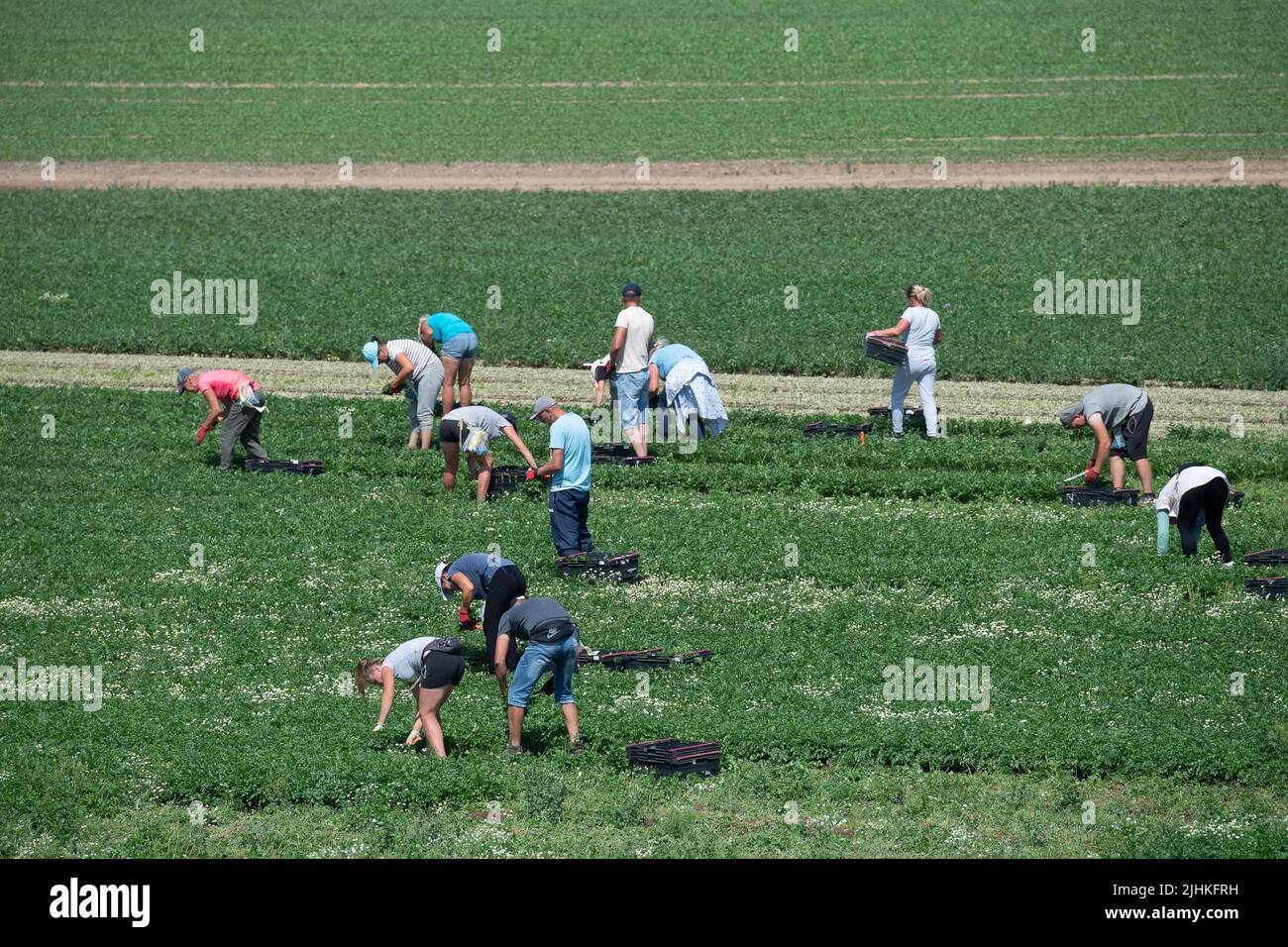 Outdoor farm workers uk sun hi-res stock photography and images - Alamy