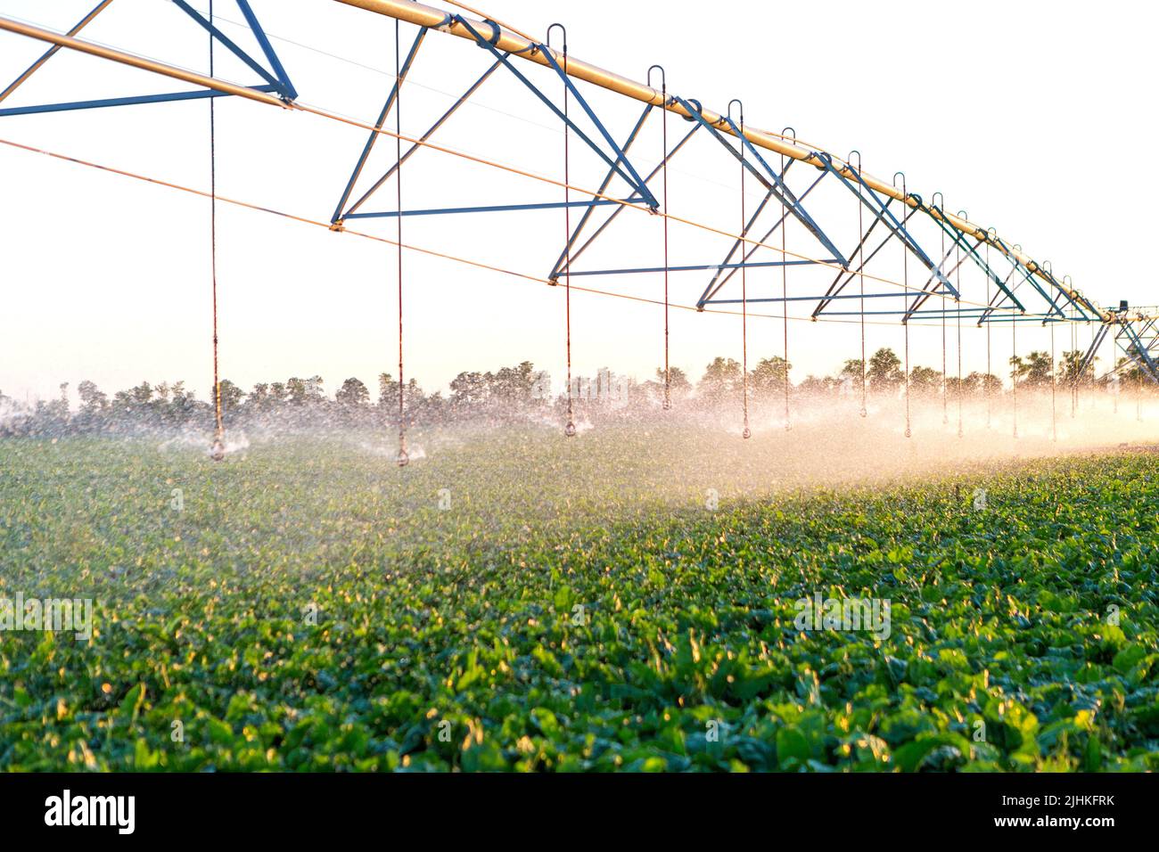 Large mechanized system for watering plants in fields Stock Photo - Alamy