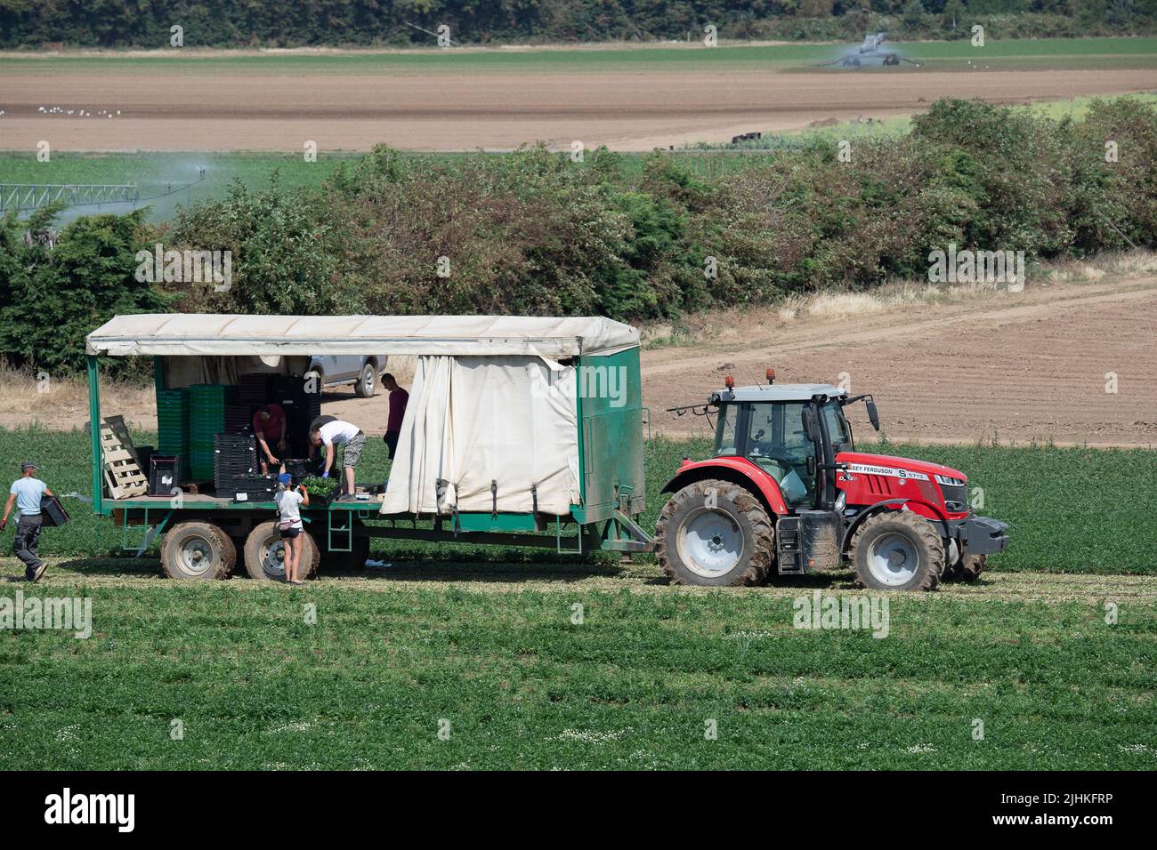 Outdoor farm workers uk sun hi-res stock photography and images - Alamy