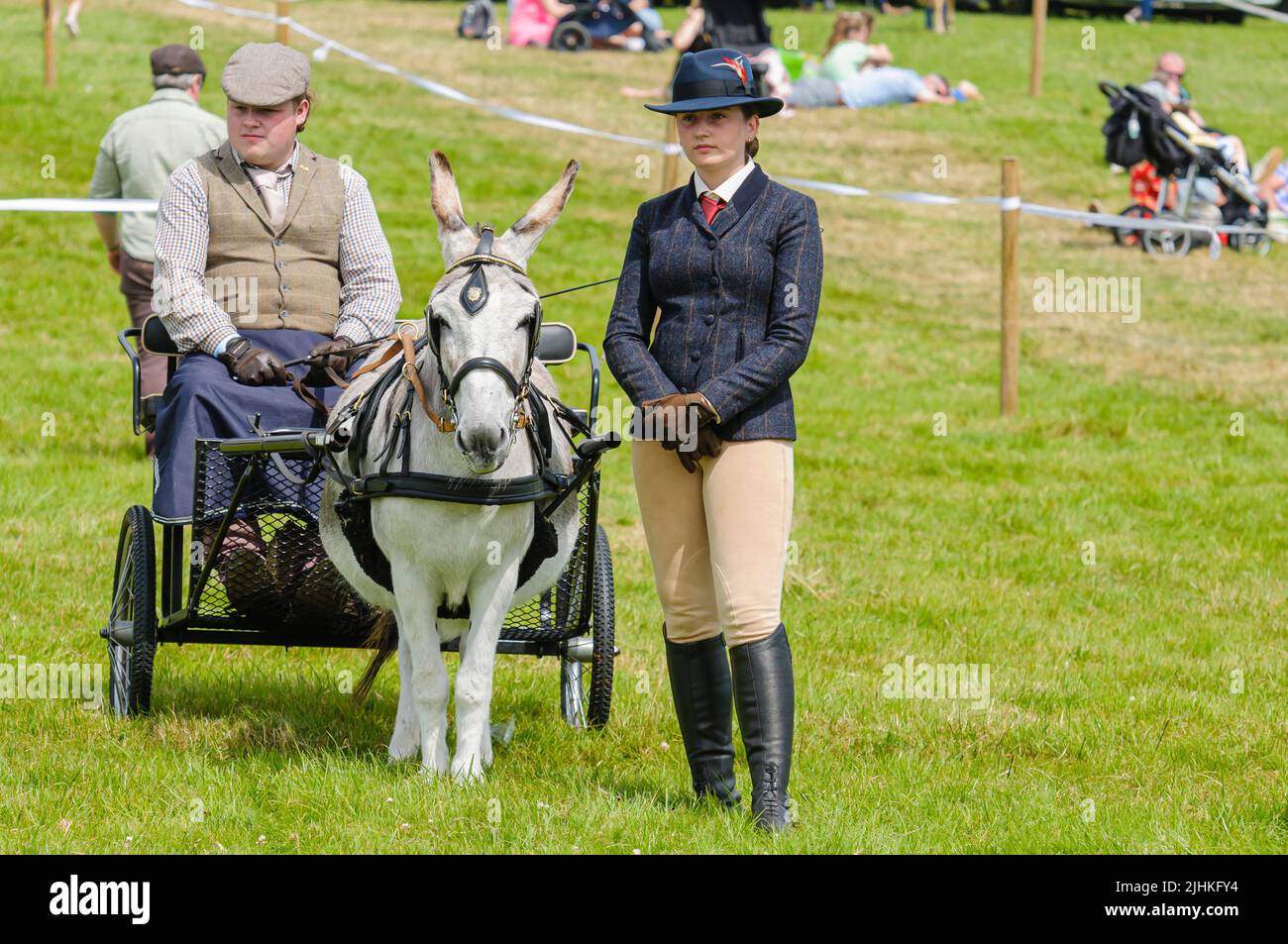 Pony trap hi-res stock photography and images - Alamy