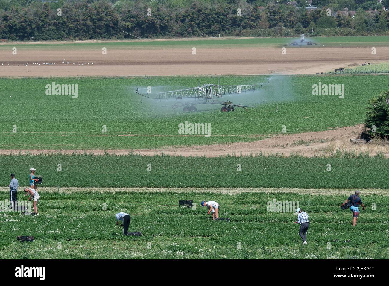 Outdoor farm workers uk sun hi-res stock photography and images - Alamy