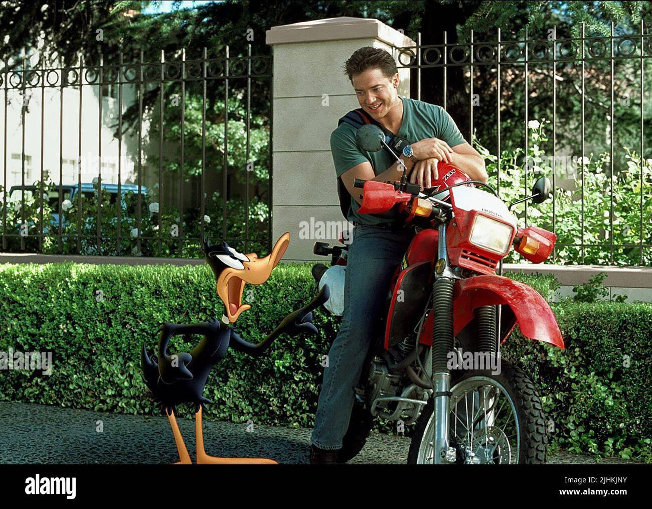 Daffy duck hi-res stock photography and images - Alamy