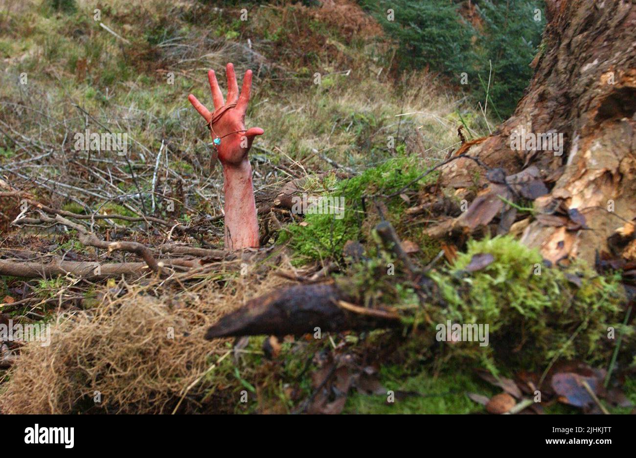 HAND SCENE, THE DESCENT, 2005 Stock Photo - Alamy