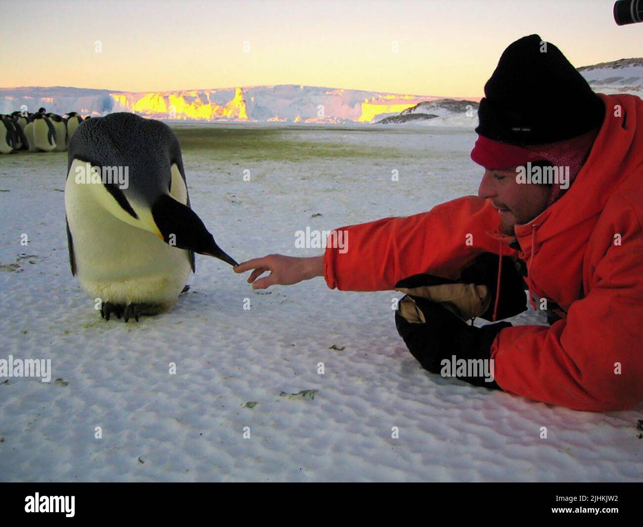 LUC JACQUET, MARCH OF THE PENGUINS, 2005 Stock Photo - Alamy