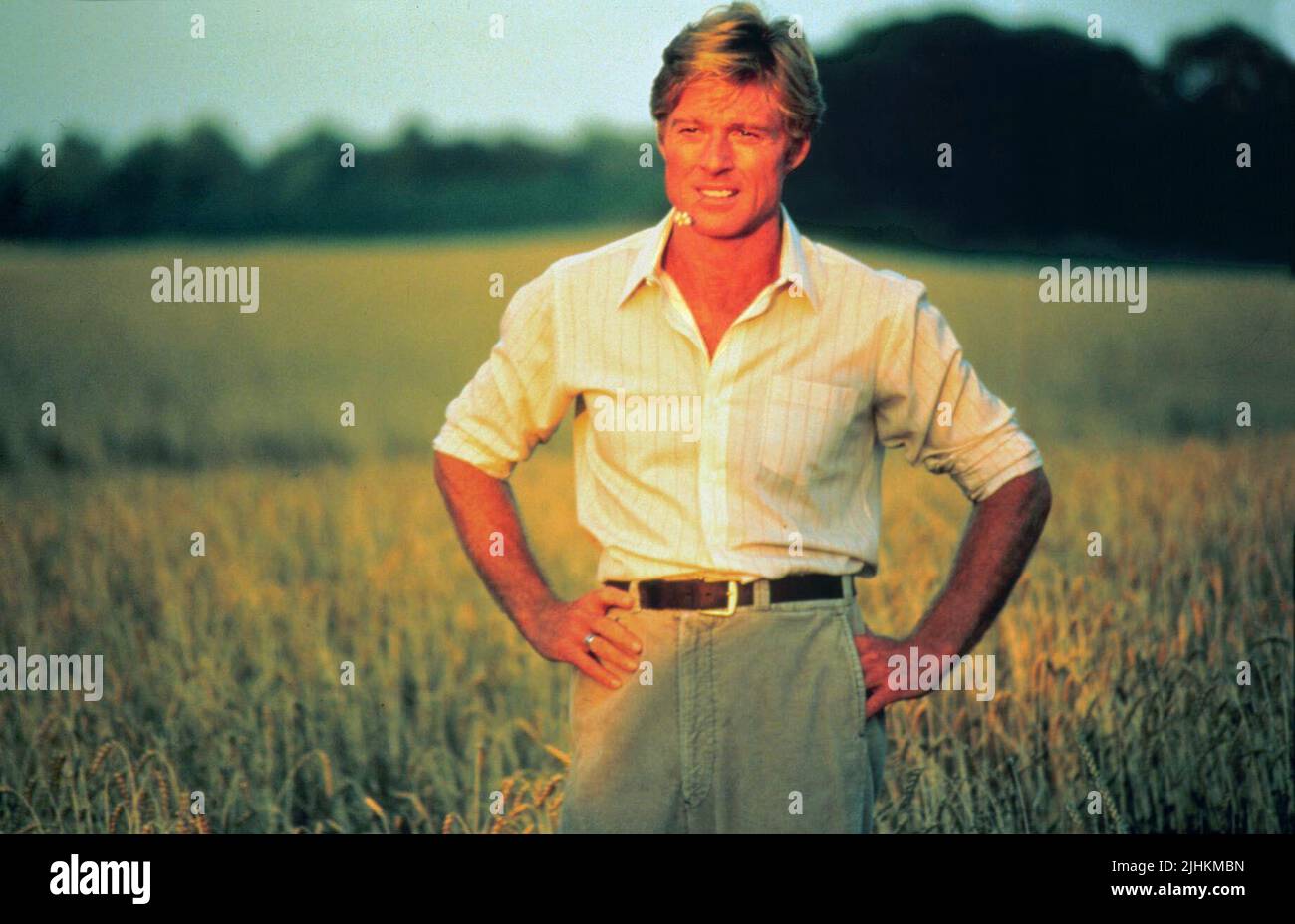 ROBERT REDFORD, THE NATURAL, 1984 Stock Photo - Alamy