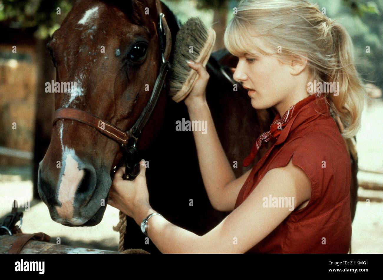 LAURA DERN, MASK, 1985 Stock Photo - Alamy