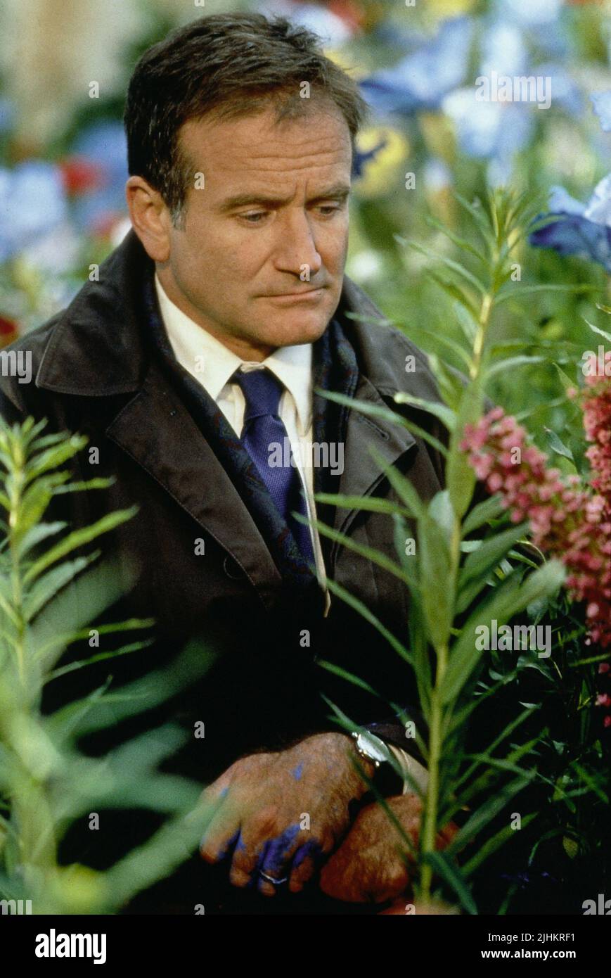 May williams hi-res stock photography and images - Alamy