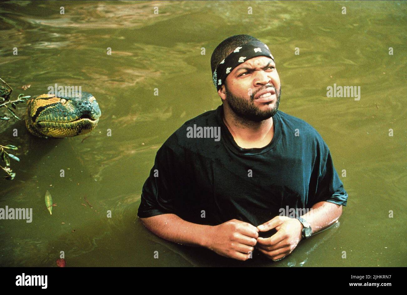 GIANT SNAKE, ICE CUBE, ANACONDA, 1997 Stock Photo - Alamy