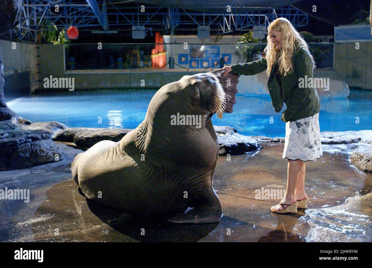 50 first dates walrus hi-res stock photography and images - Alamy 50 first dates walrus hi-res stock photography and images - Alamy
