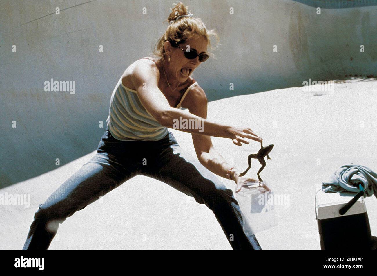 JULIA ROBERTS, FROG, ERIN BROCKOVICH, 2000 Stock Photo - Alamy