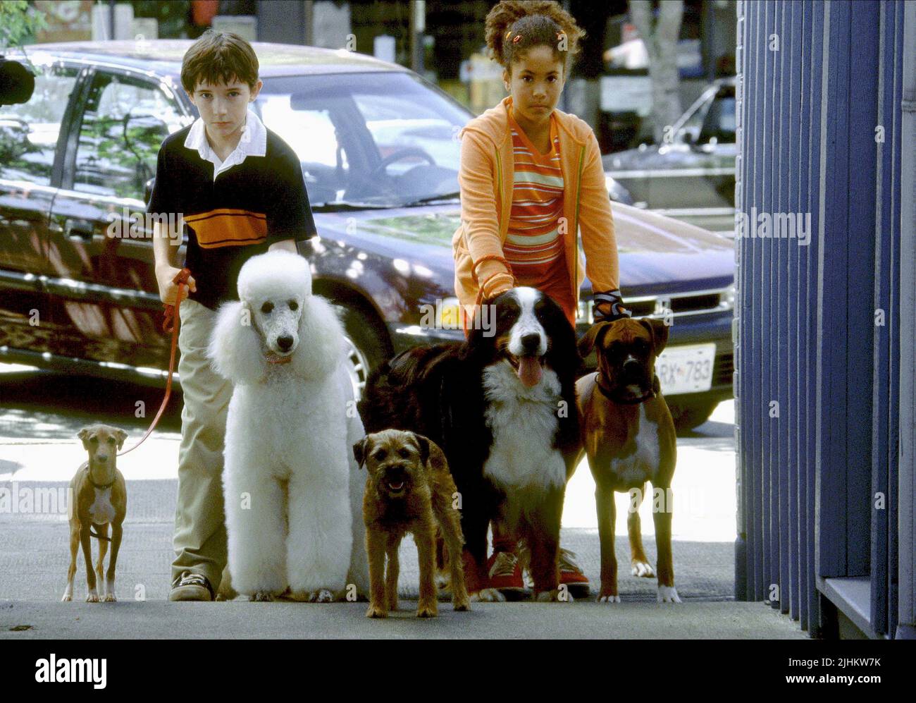 LIAM AIKEN, HUBBLE, BRITTANY MOLDOWAN, GOOD BOY!, 2003 Stock Photo - Alamy