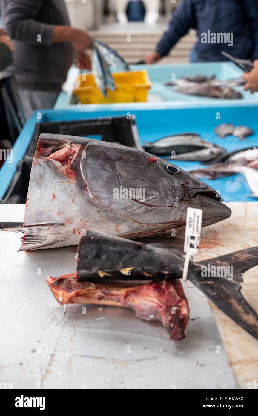 Catch of the day for sale on daily fish market in old port of Marseille ...