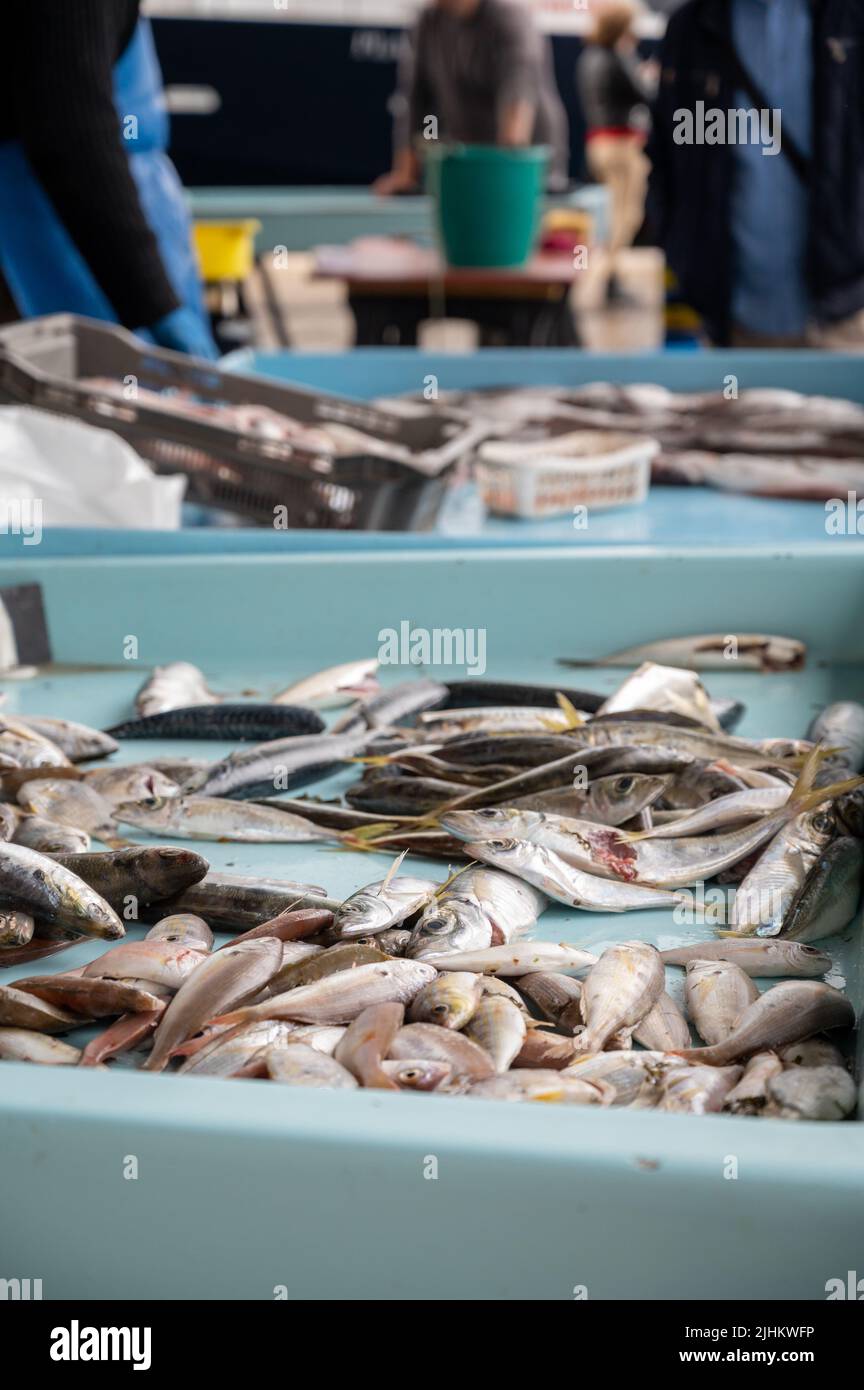 Catch of the day for sale on daily fish market in old port of Marseille ...