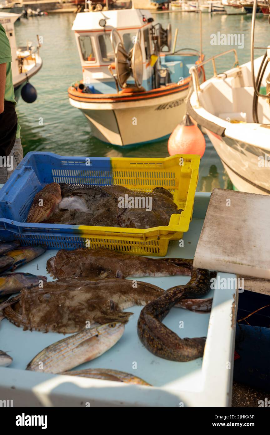 Catch of the day , fresh fish for sale on daily outdoor fisherman's ...