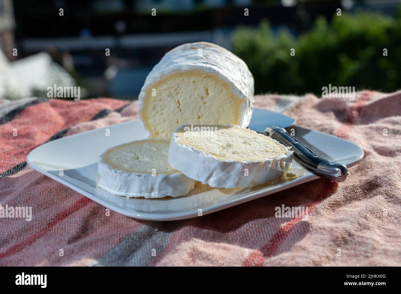 French cheeses, cylindrical neufchatel cow cheese with mold close up ...