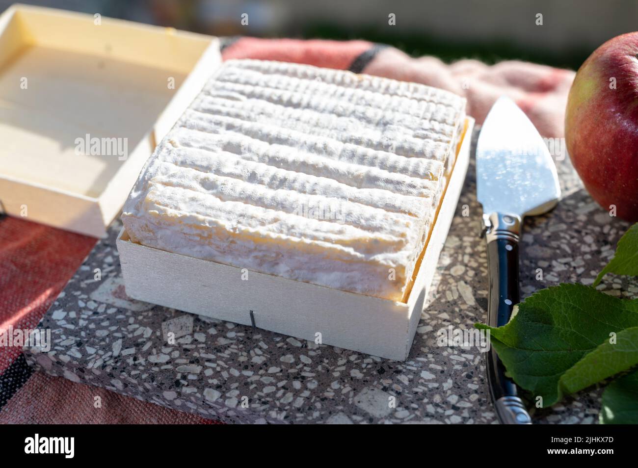 French squared pont l'eveque cow cheese from Calvados department, close ...